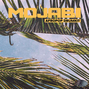 Download Afro Trap loops & sample packs | slooply.com