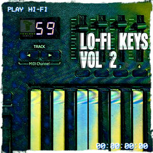 Download Lo-Fi loops & sample packs | slooply.com