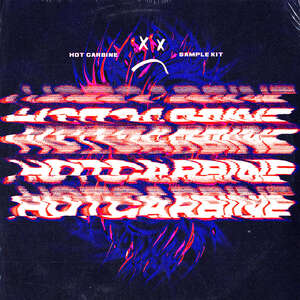 Download Hip Hop loops & sample packs | slooply.com