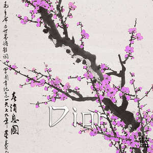 Download Emo loops & sample packs | slooply.com