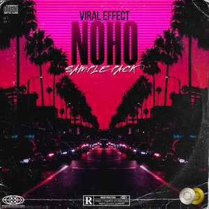 Download Pop loops & sample packs | slooply.com