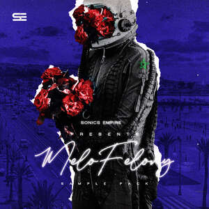 Sounds & Samples from WeTheSound - AfroTrap Essentials | slooply.com