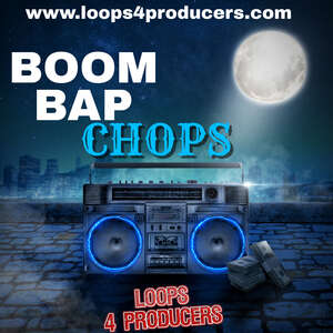 Download Hip Hop loops & sample packs | slooply.com