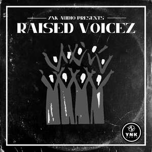 Sounds & Samples from nolyrics - DETROIT™ | slooply.com