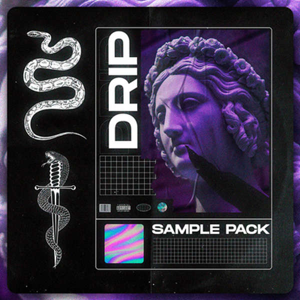 Sounds & Samples from AndreezyBeats - DRIP HARD | slooply.com