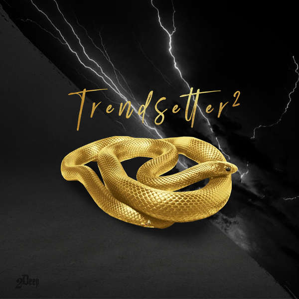 Sounds & Samples from 2Deep - Trendsetter 2 | slooply.com