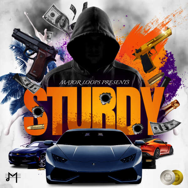 Sounds & Samples from Major Loops - Sturdy | slooply.com