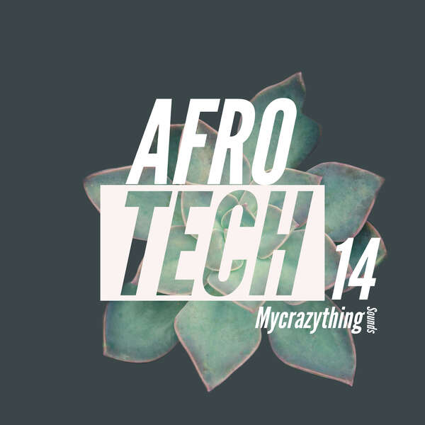 Sounds & Samples from Mycrazything Records - Afro Tech 14 | slooply.com
